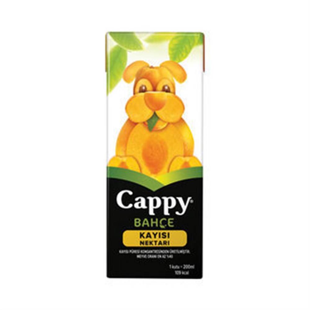 CAPPY BAHCE 200ML KAYISI – Kıbrıs Sanal Market